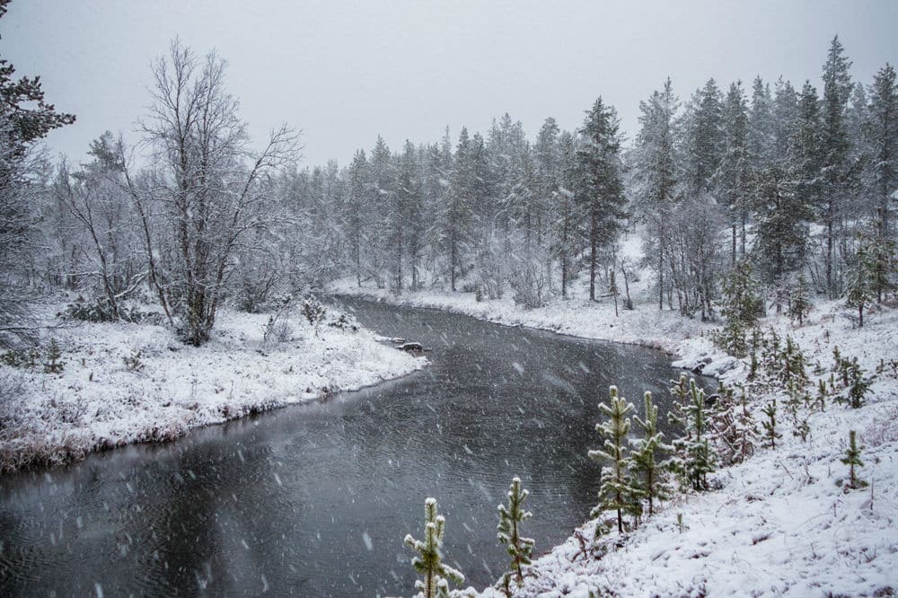 First Snow of the Season in Finland | Arctic Direct