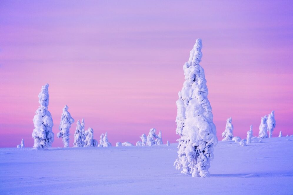 What to wear in cold weather during Arctic holidays | Arctic Direct