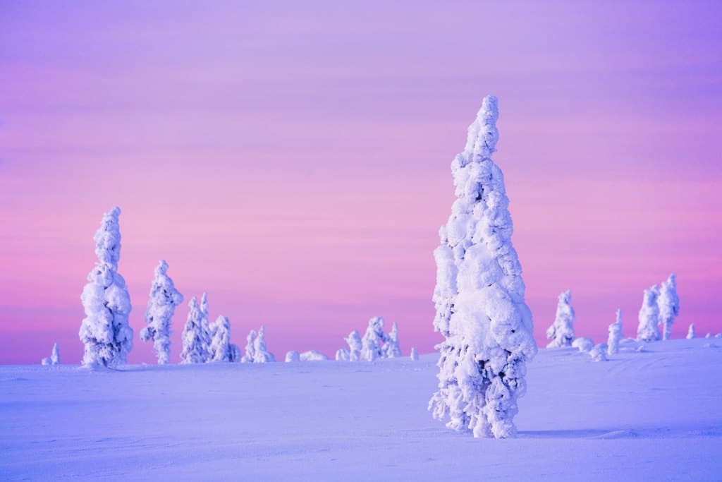 What to wear in cold weather during Arctic holidays | Arctic Direct