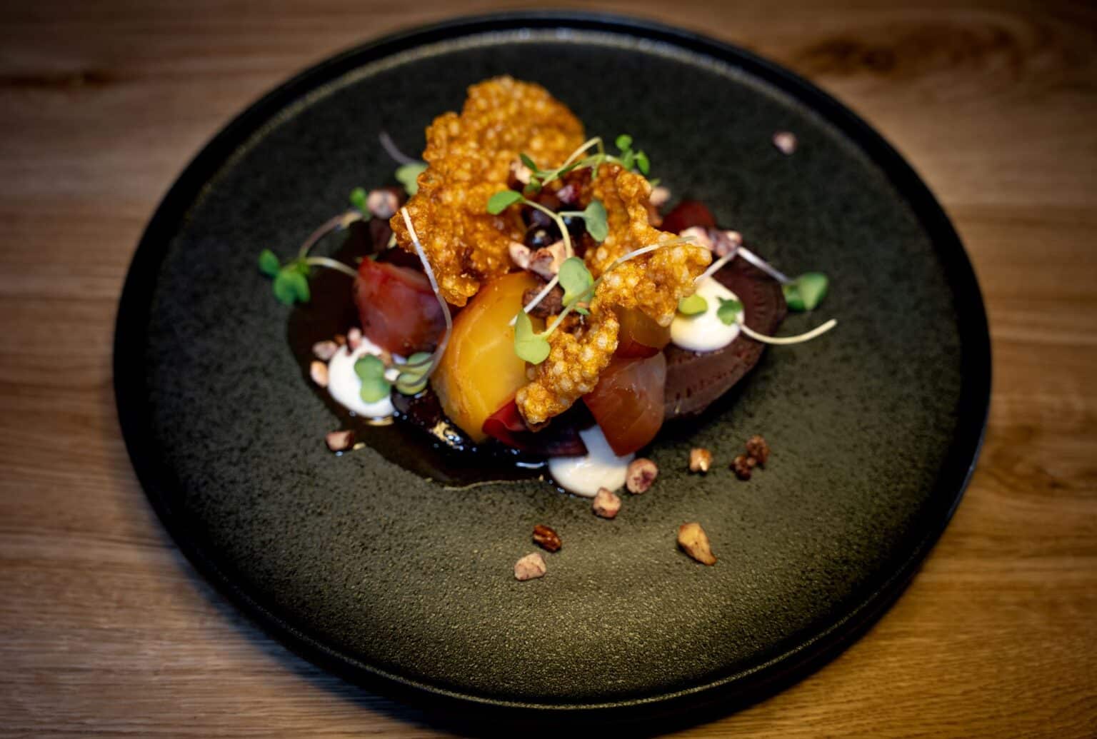 Arctic Circle Luxury Holiday Packages 2025/2026 | Arctic Direct