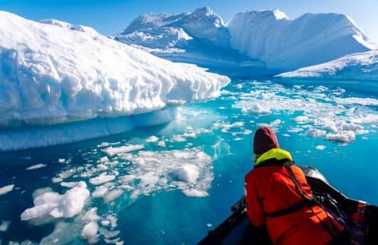 Antarctica Luxury Package Holidays 2025/2026 | Arctic Direct