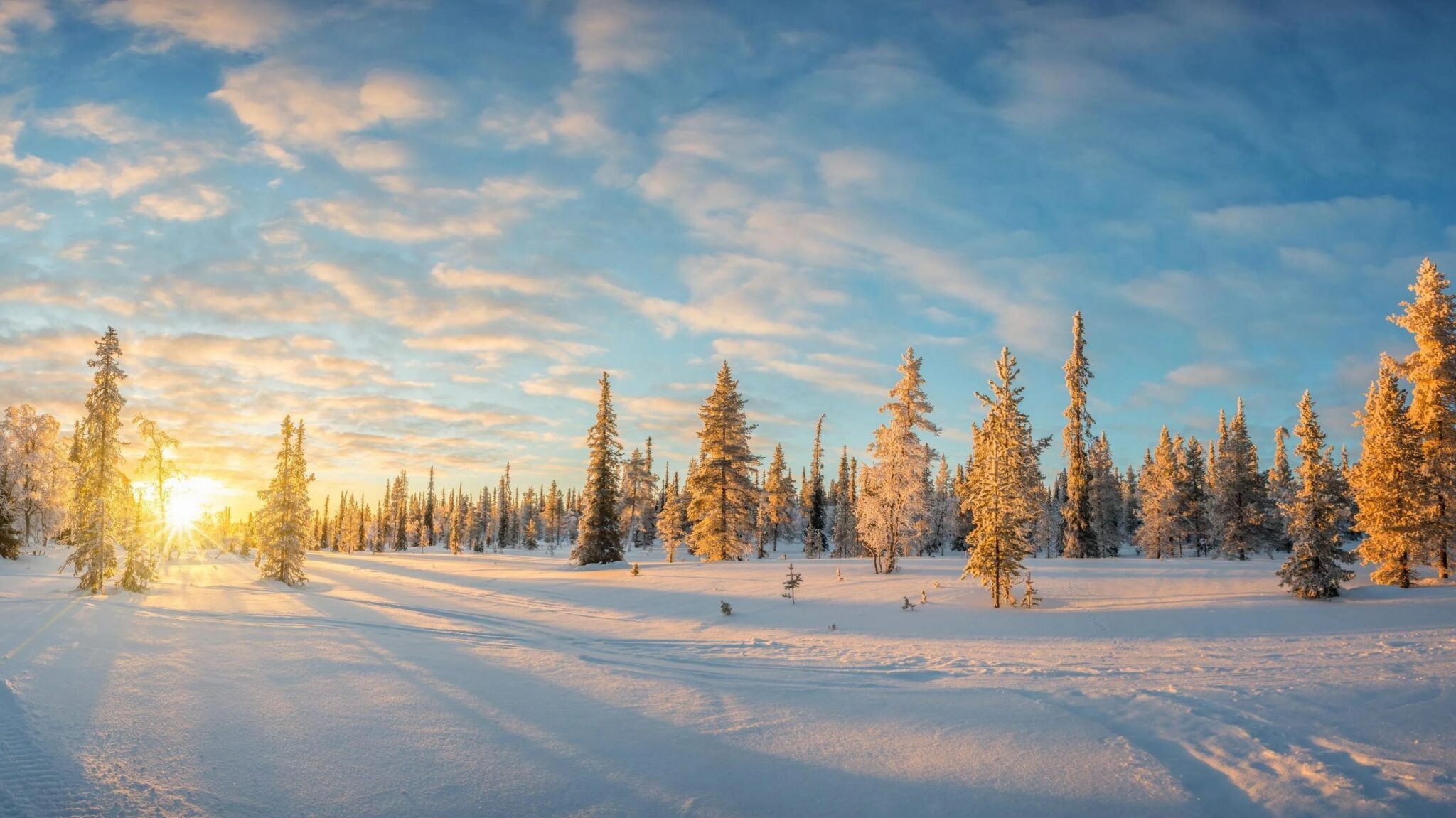 Finland Christmas Holiday Packages 2025/2026 | Arctic Direct