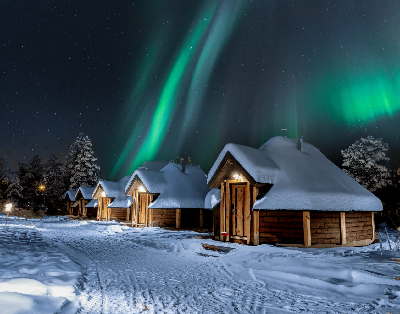 Wildlife of the Arctic | Arctic Direct